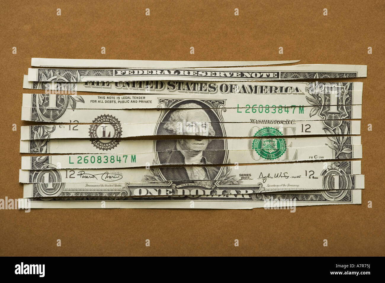 Detailed view of shredded US dollar bill Stock Photo - Alamy