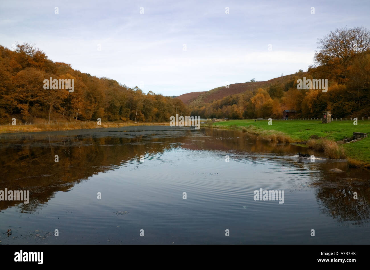 Trelewis hi-res stock photography and images - Alamy