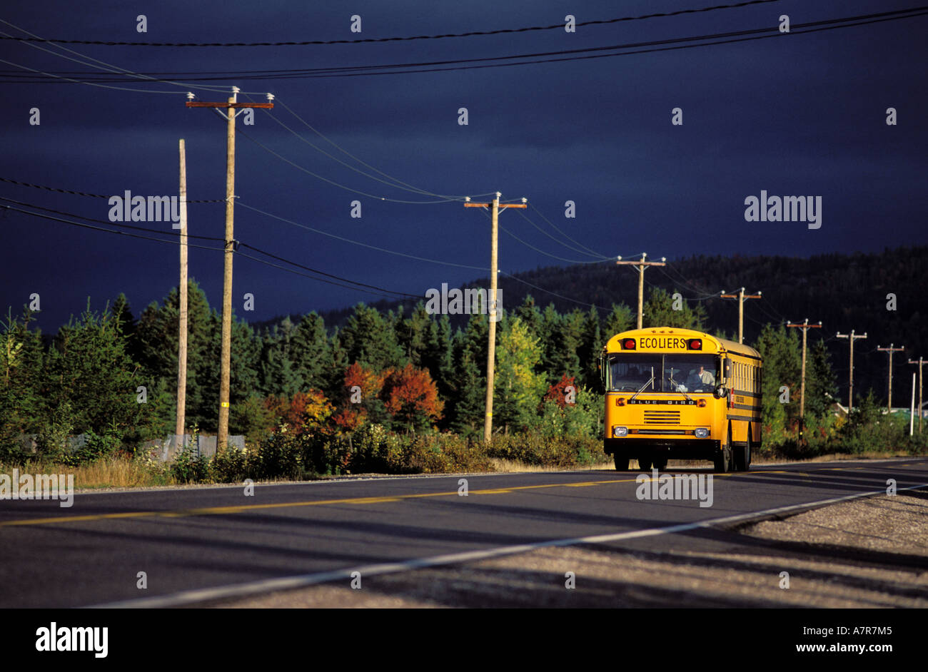 Canada, Quebec, School bus, Region of Tadoussac Stock Photo - Alamy