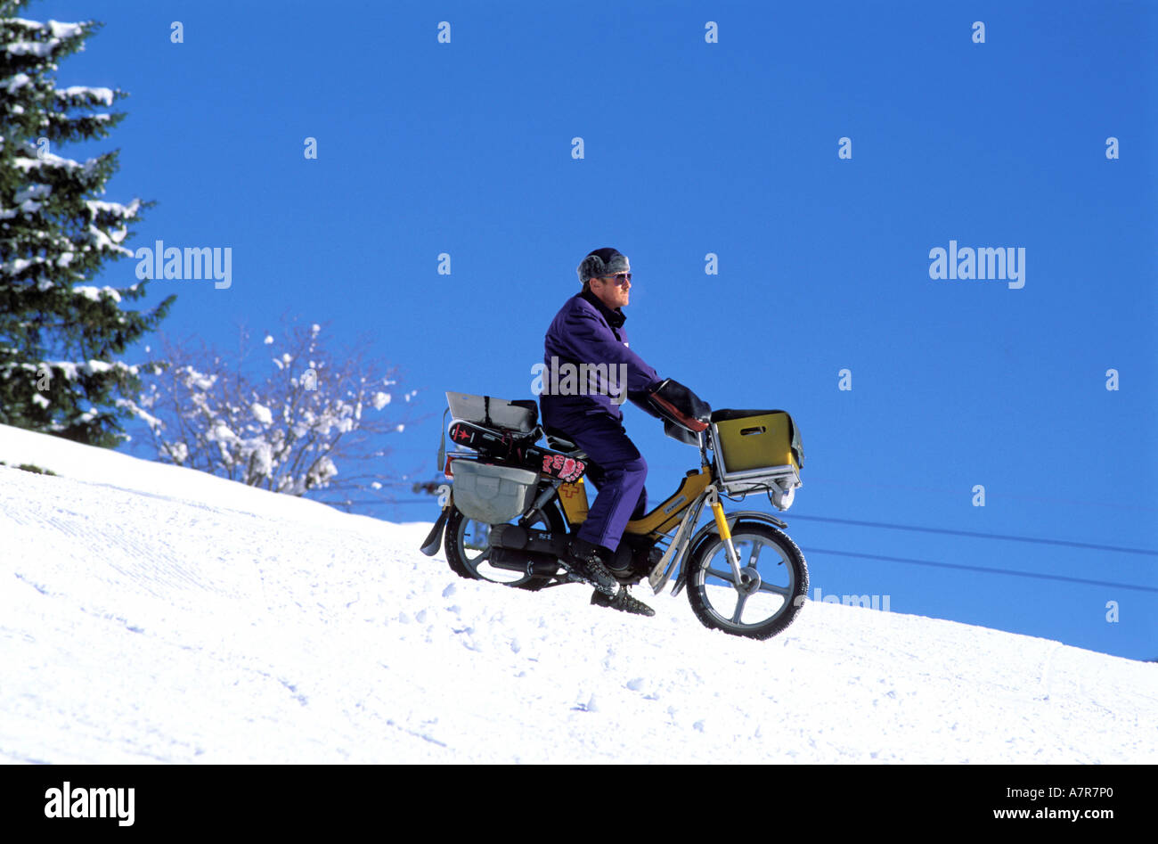Switzerland, region of Bern (Bernese Oberland), Grindenwald, postman ...