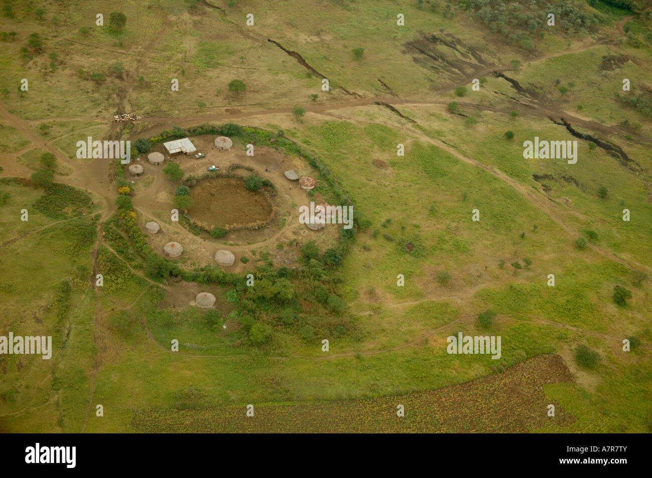 Cattle kraal hi-res stock photography and images - Alamy