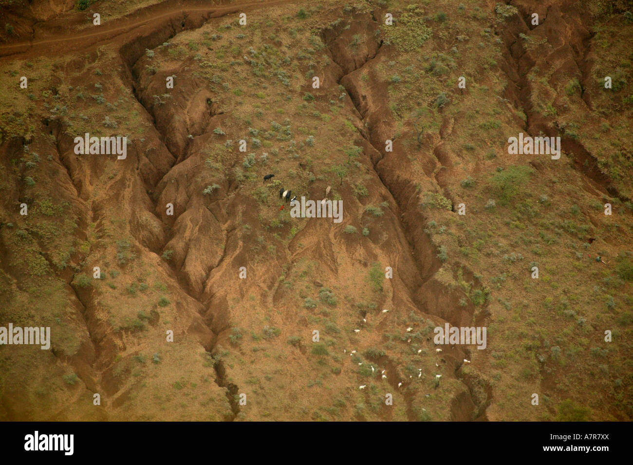 Deep erosion gullies hi-res stock photography and images - Alamy