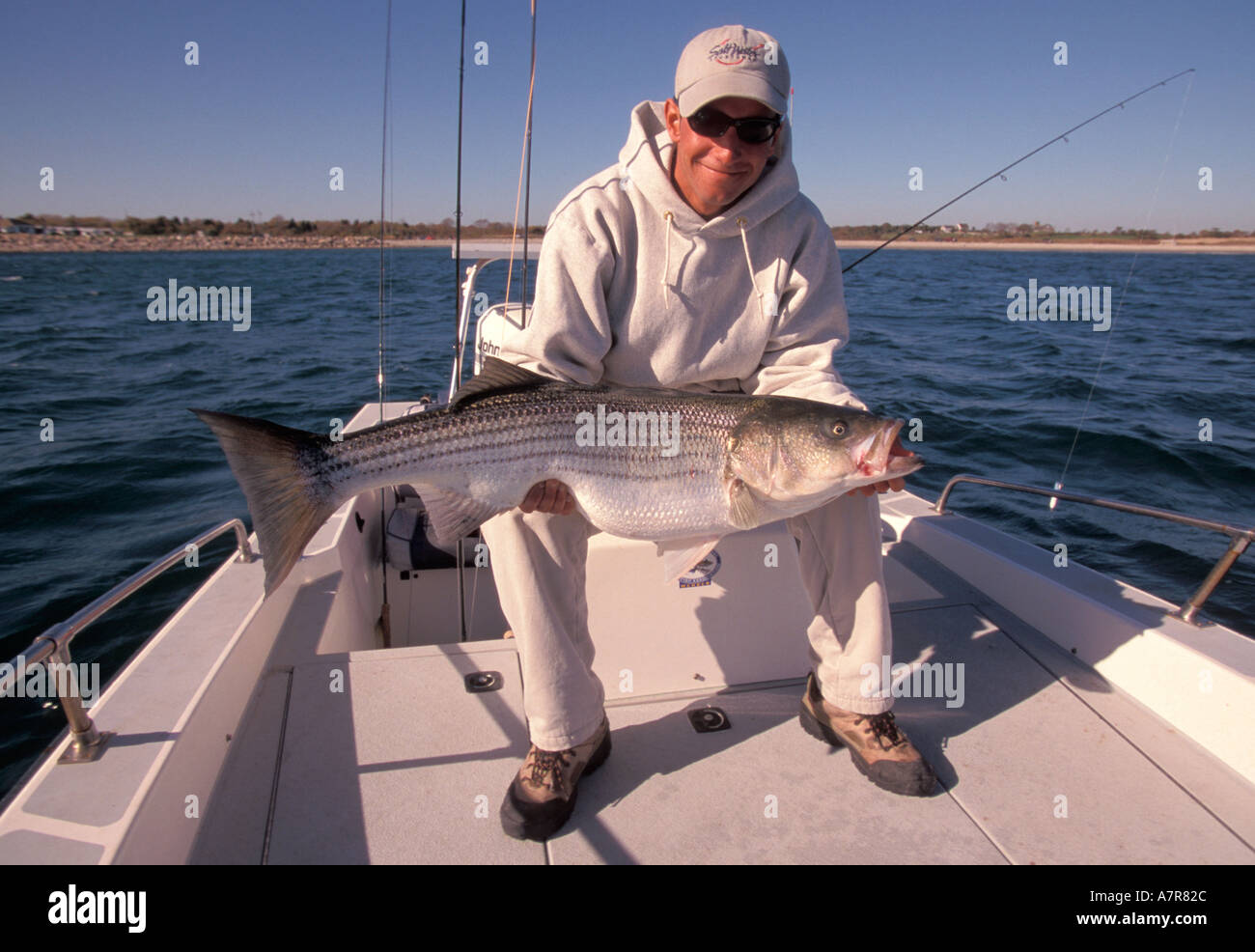 Big Fish Stock Photos & Big Fish Stock Images - Alamy