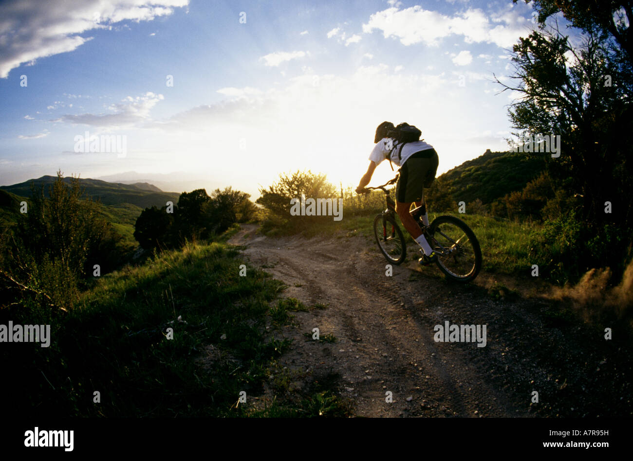 Rear view of cyclist on outdoor path Stock Photo - Alamy