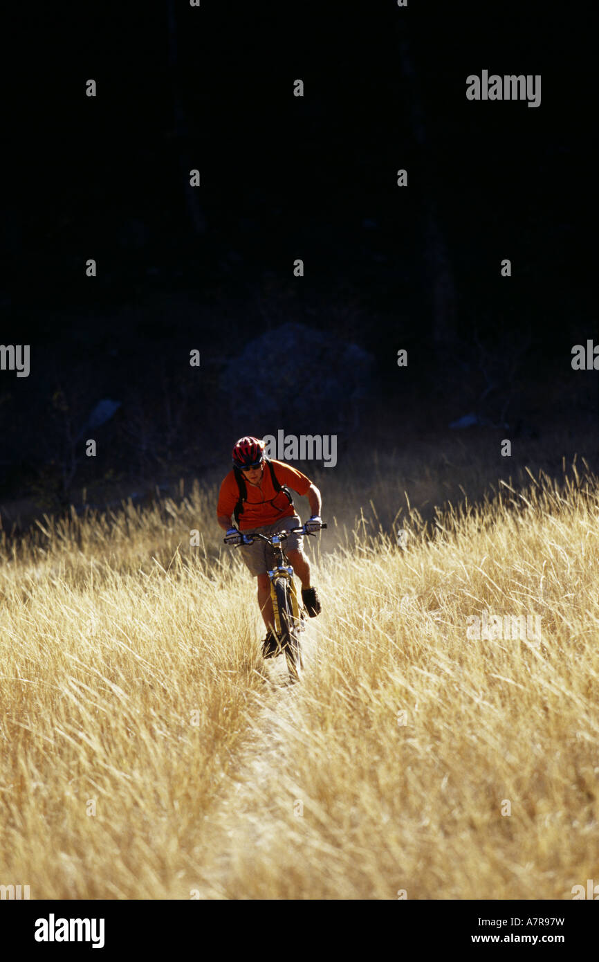 Cyclist riding on path through tall grass Stock Photo - Alamy