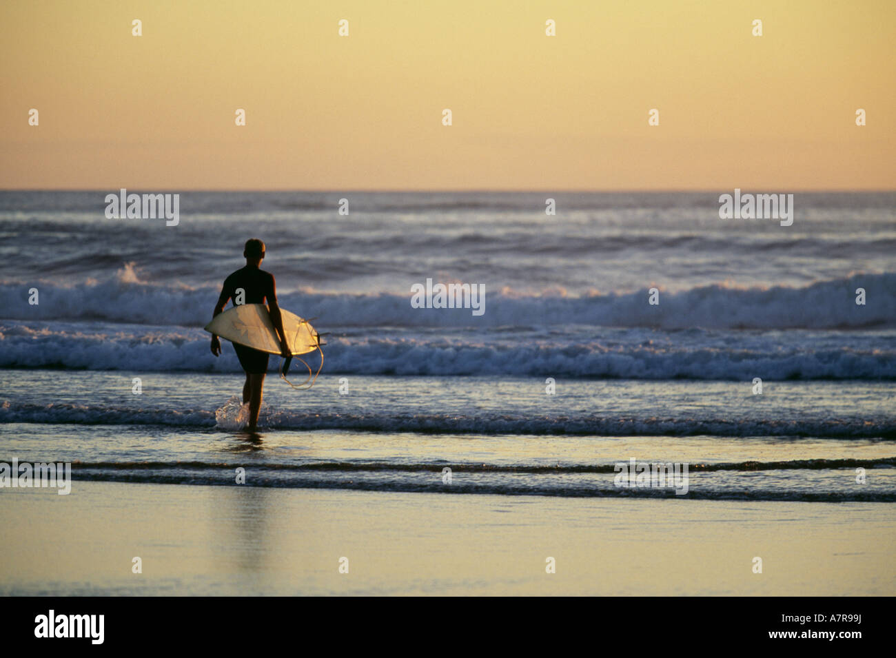 Rear view of man with surfboard in water Stock Photo - Alamy