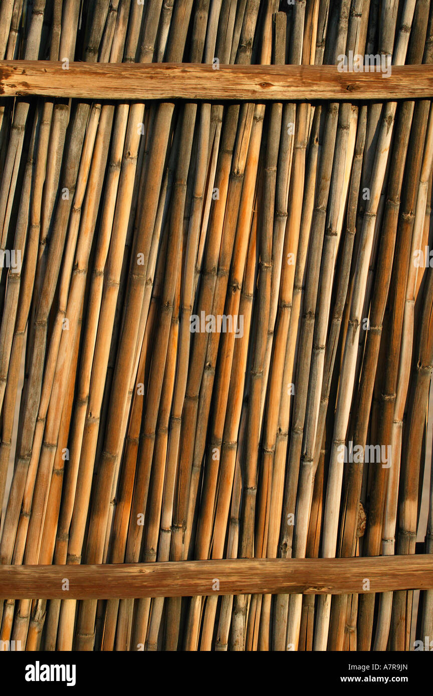 Dry reeds used in a wall panel Northern Cape South Africa Stock Photo ...