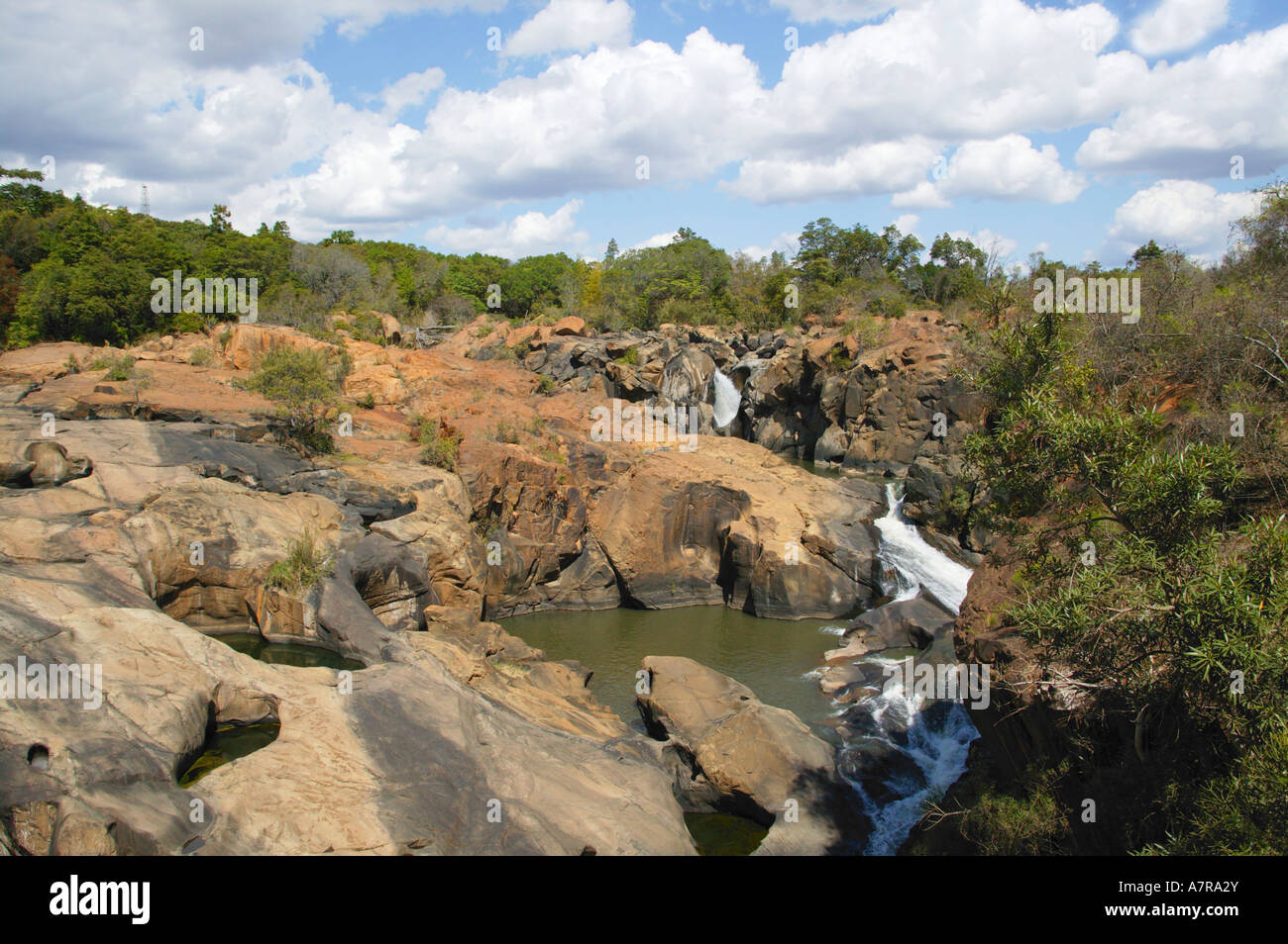Botanical gardens nelspruit hi-res stock photography and images - Alamy