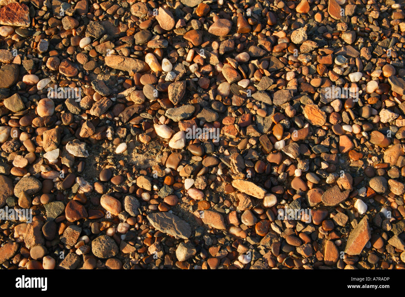 Rounded pebbles in Orange River gravel Upington Northern Cape South ...