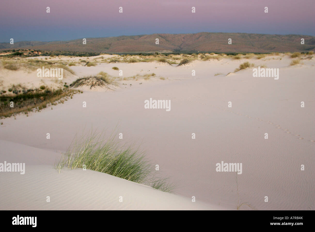 Witsand dune scene at dusk Witsand Nature reserve Northern Cape South ...