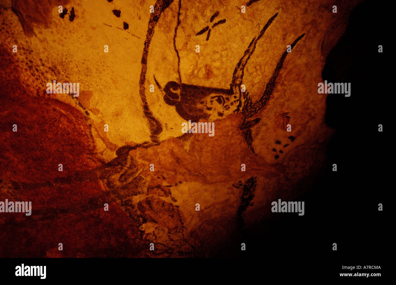 France, Dordogne, Lascaux II caves, paintings Stock Photo - Alamy