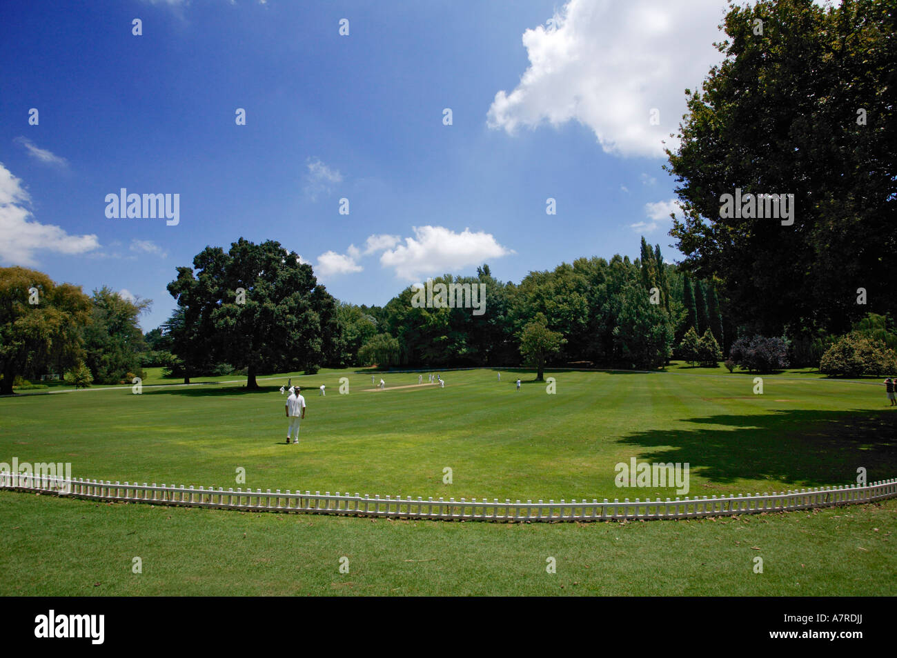 A game of cricket on the grounds of the Johannesburg country club ...