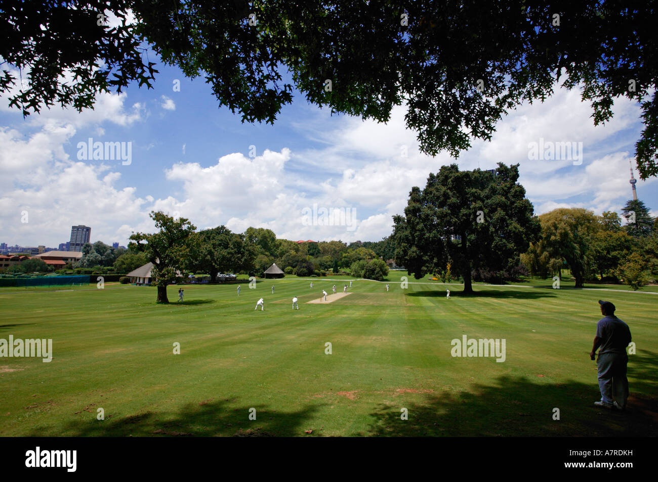 A game of cricket on the grounds of the Johannesburg country club ...