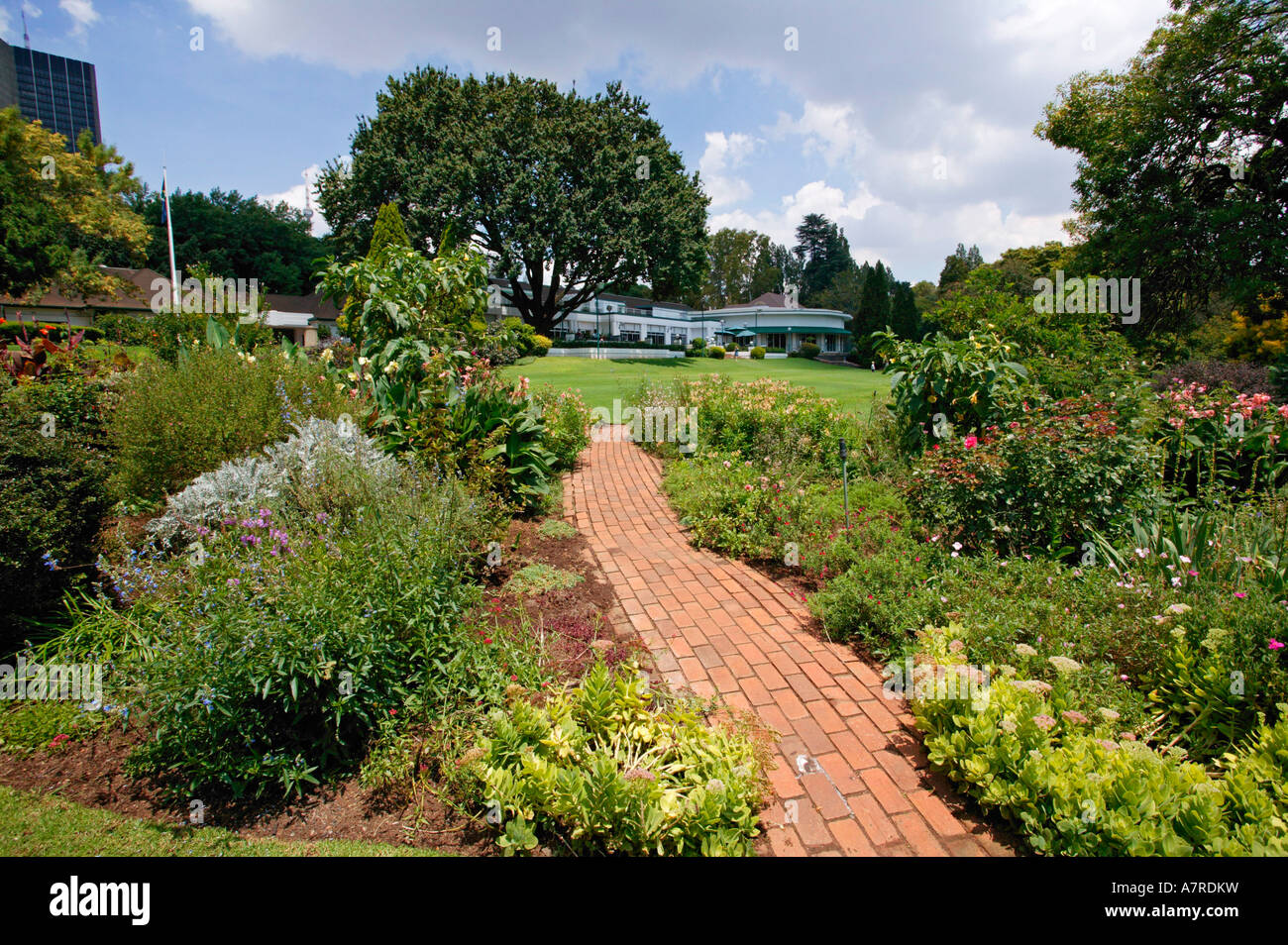 The well kept gardens of the Johannesburg country club Johannesburg ...