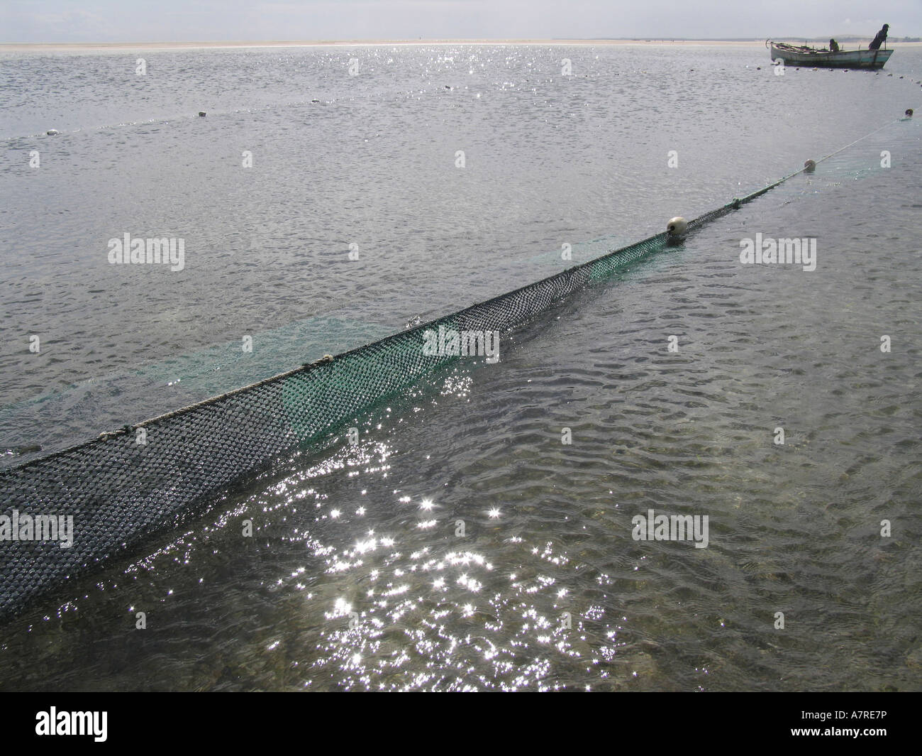 Local dhow spreading a fishing net in the Mozambique coastal waters ...