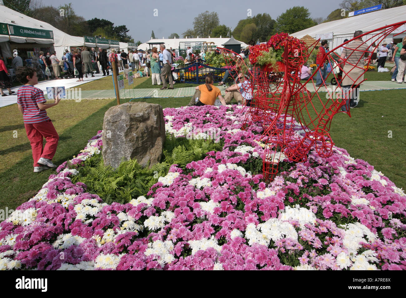 Royal Horticultural Society Spring Flower Show Bute Park Cardiff Stock ...