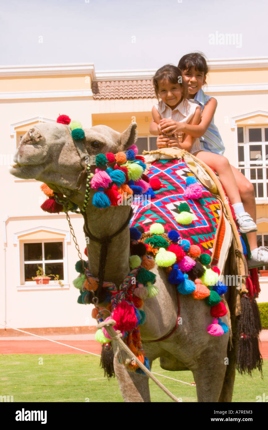 school children having a camel ride Stock Photo - Alamy