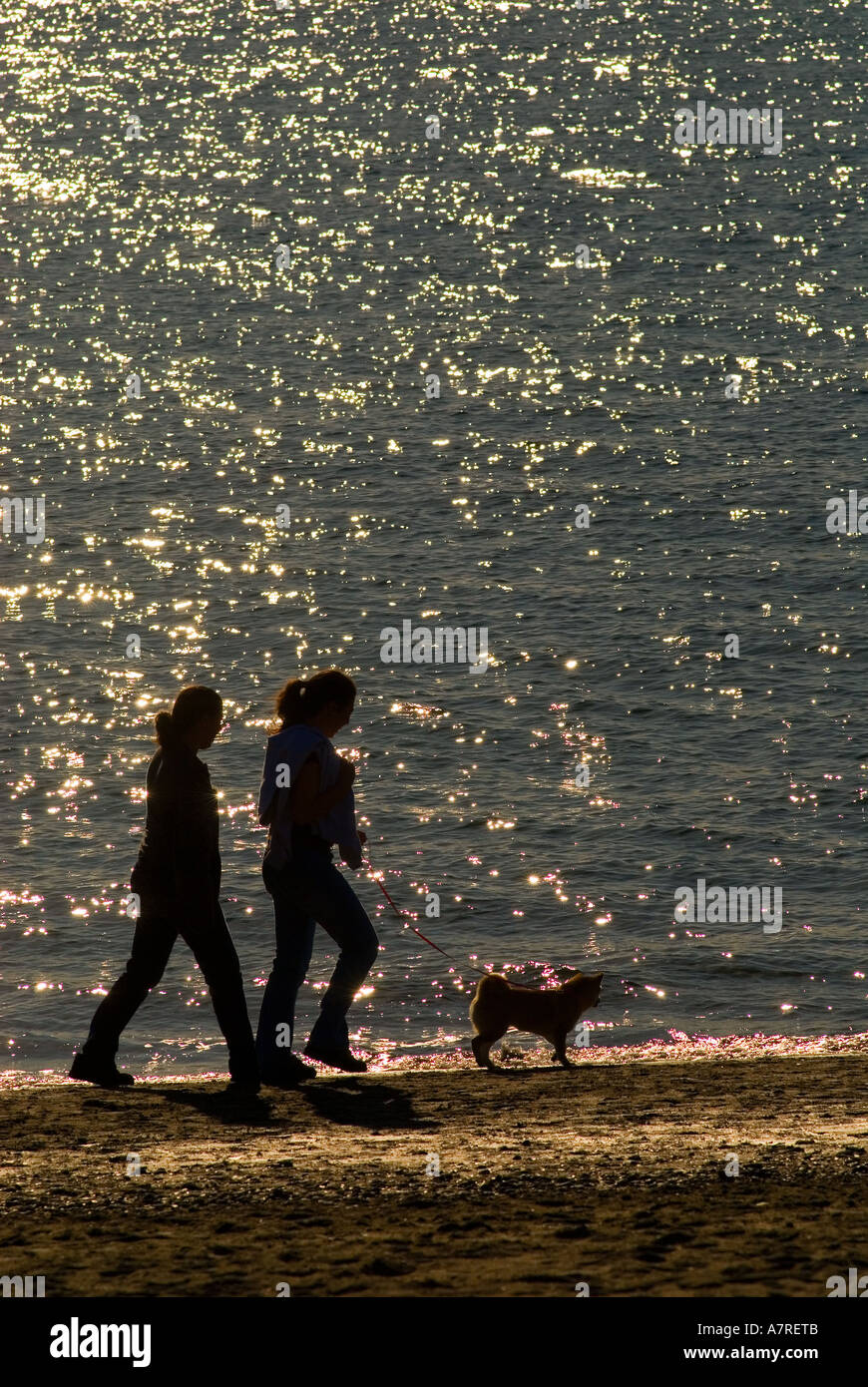 Couple dog beach walk hi-res stock photography and images - Alamy