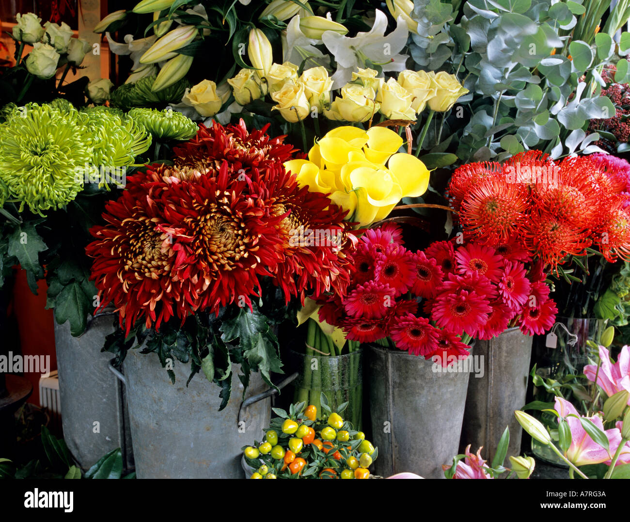 Brightly coloured and varied florist display in a range of pots at a ...