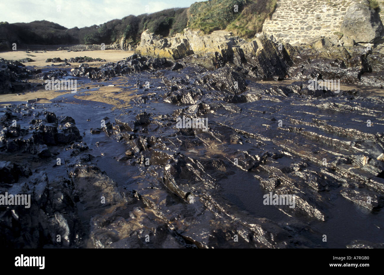 Oil covered rocks at Angle Bay in West Wales after Sea empress oil ...