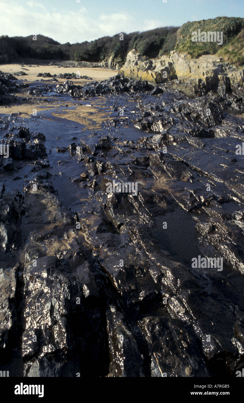 Oil covered rocks at Angle Bay in West Wales after Sea empress oil ...