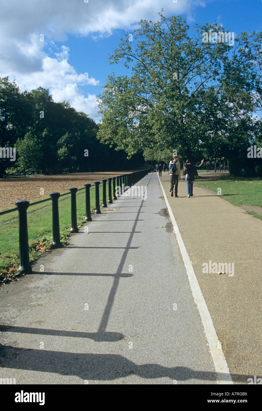 Path borders and trees at Hyde Park London in September Stock Photo - Alamy