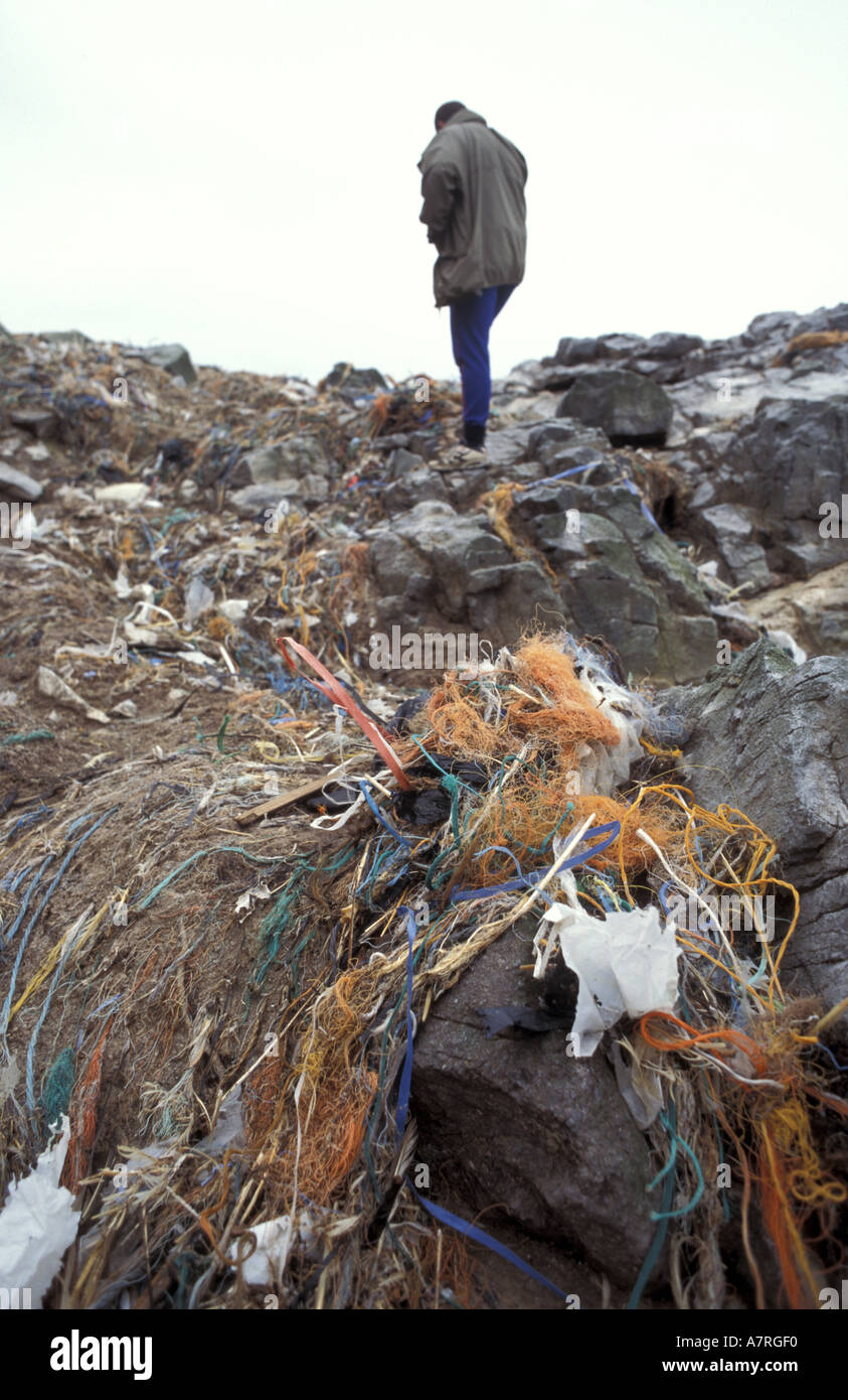 RSPB warden for Grassholm Island with dead gannet entangled in plastic ...