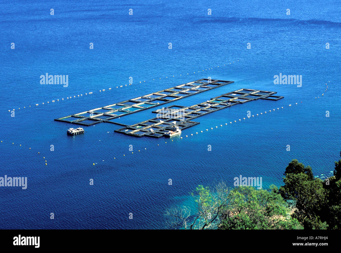France, Alpes Maritimes, aquaculture, fish farming in cages Stock Photo ...