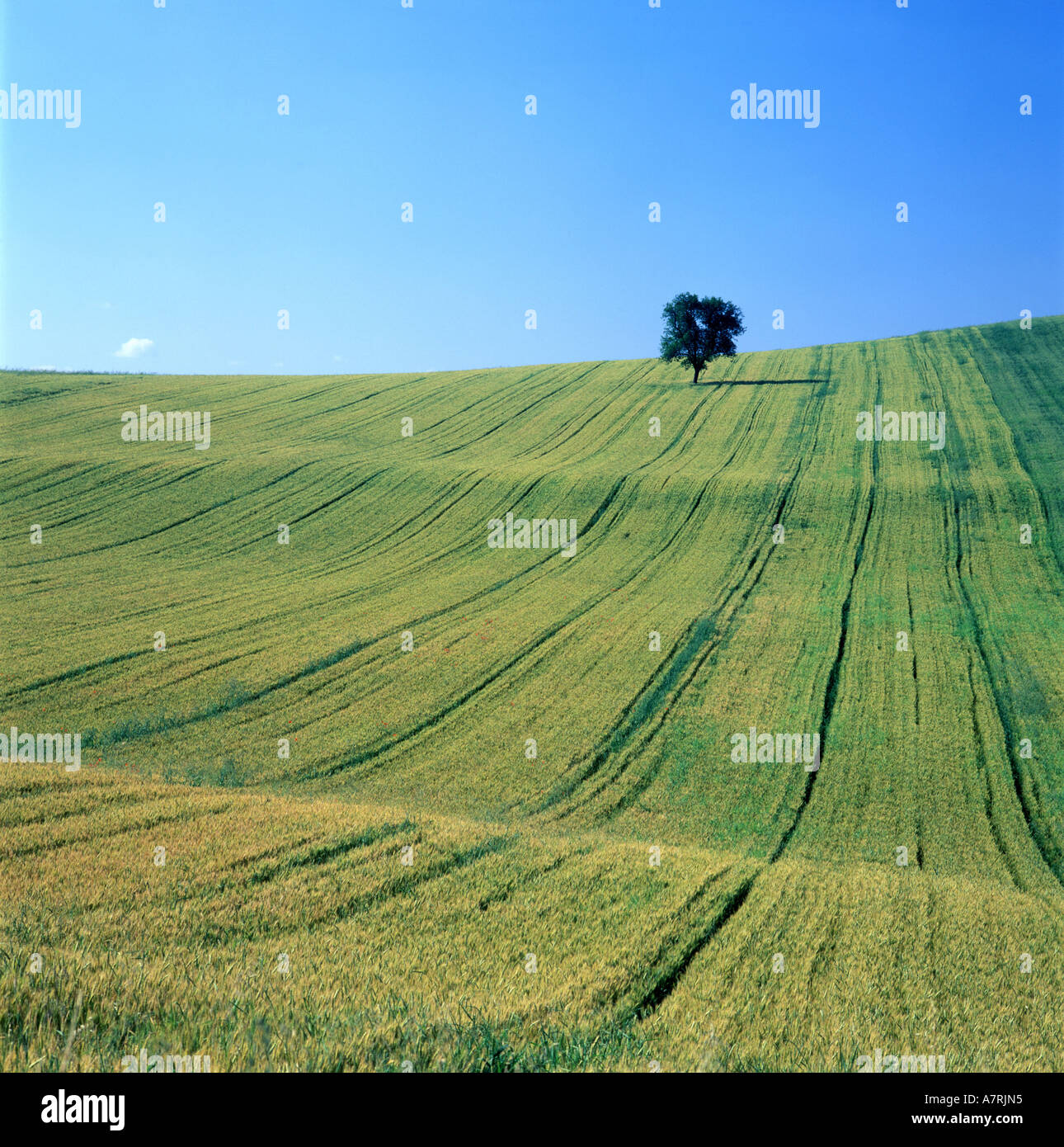 Bourbonnais region hi-res stock photography and images - Alamy