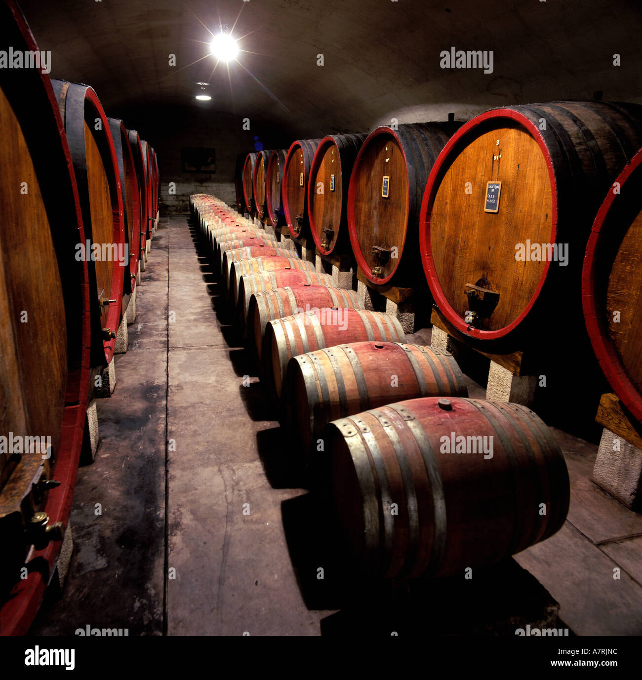 France, Gard, wine domain of Maby, wine cellar, Tavel (controlled ...
