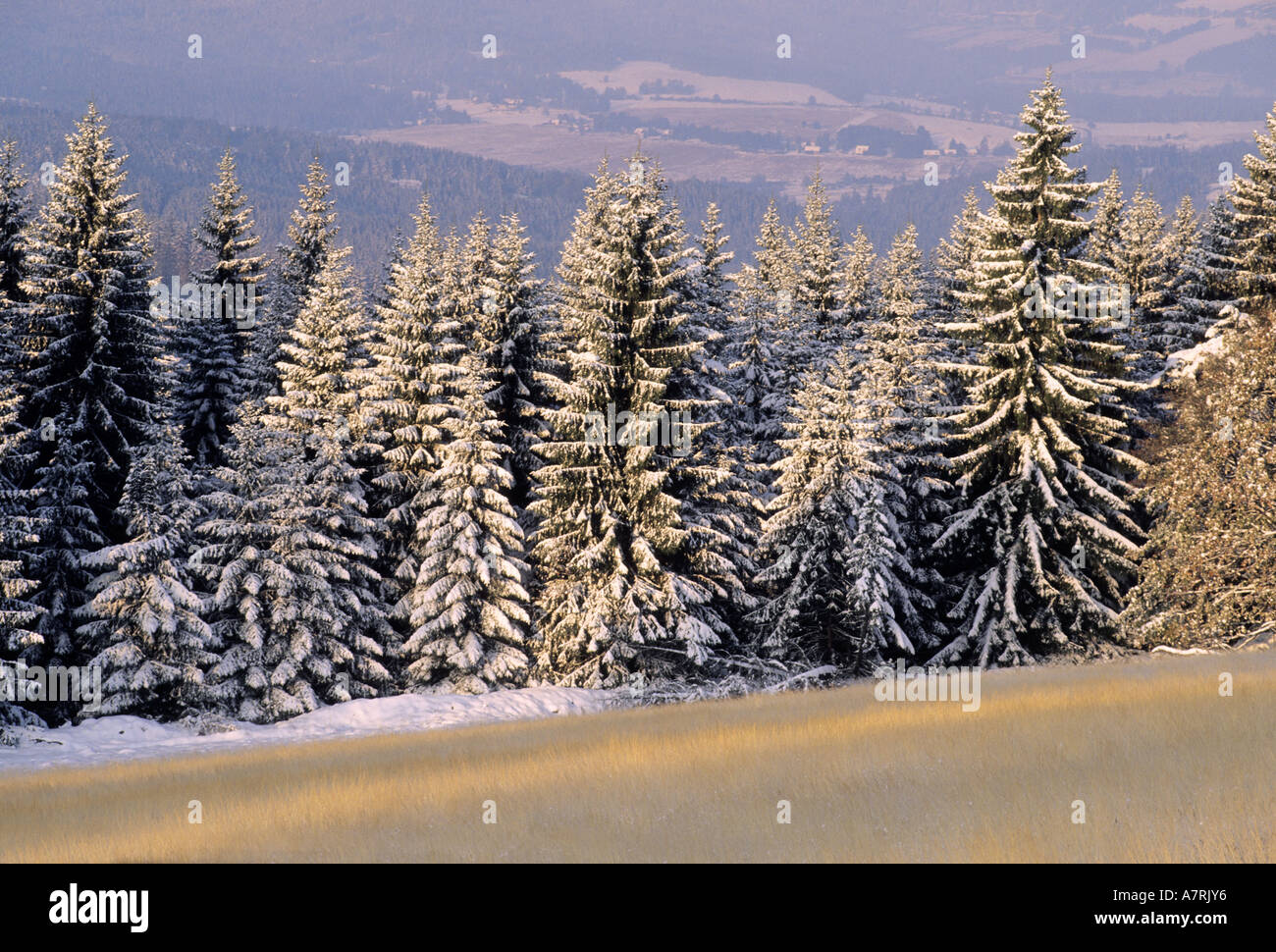 Modrava hi-res stock photography and images - Alamy