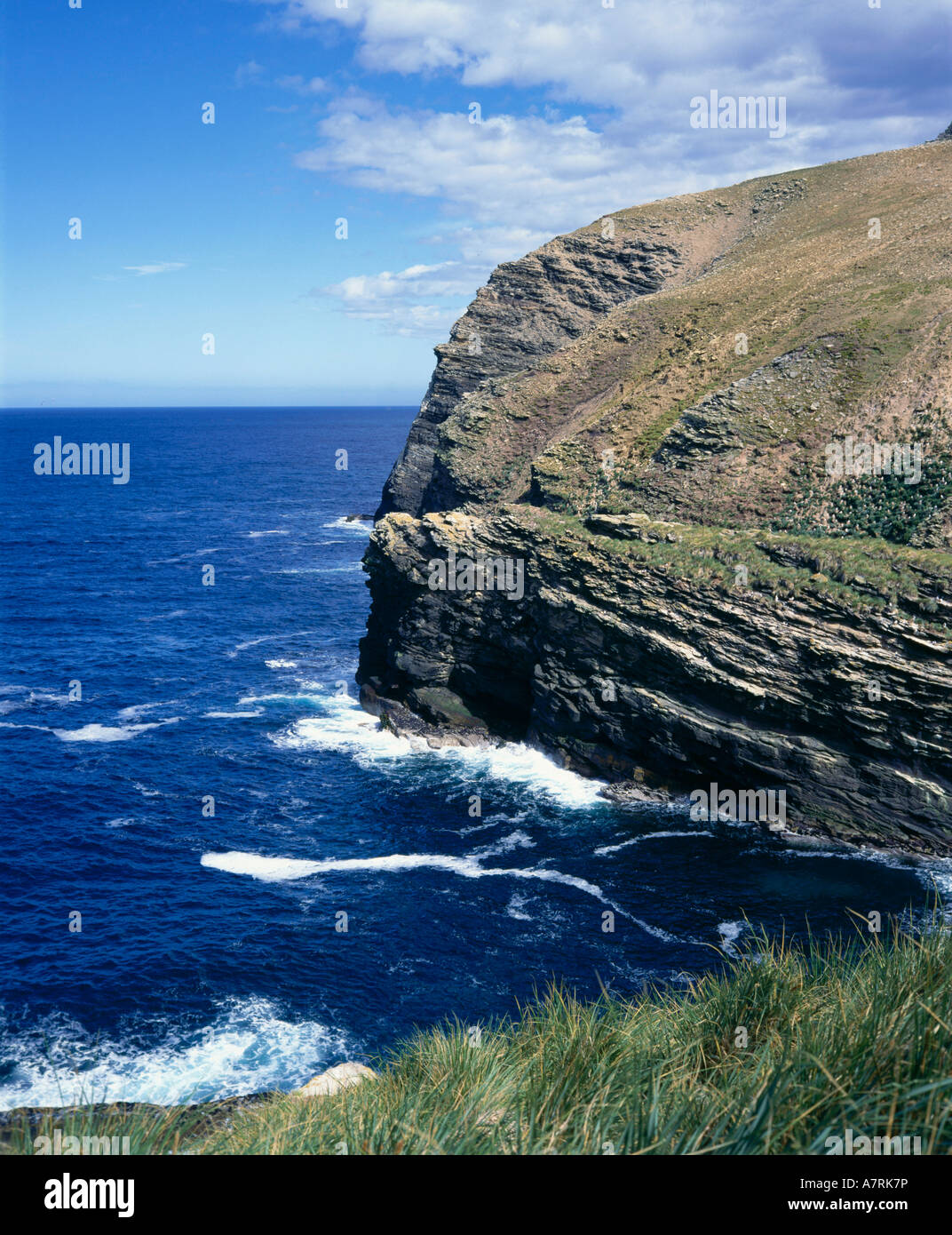 Cliff at coast, Falkland Islands Stock Photo - Alamy