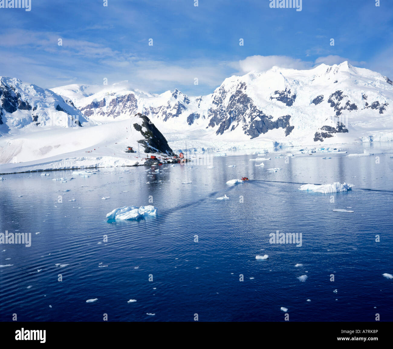Snowflakes floating on water, Paradise Bay, Antarctica Stock Photo - Alamy