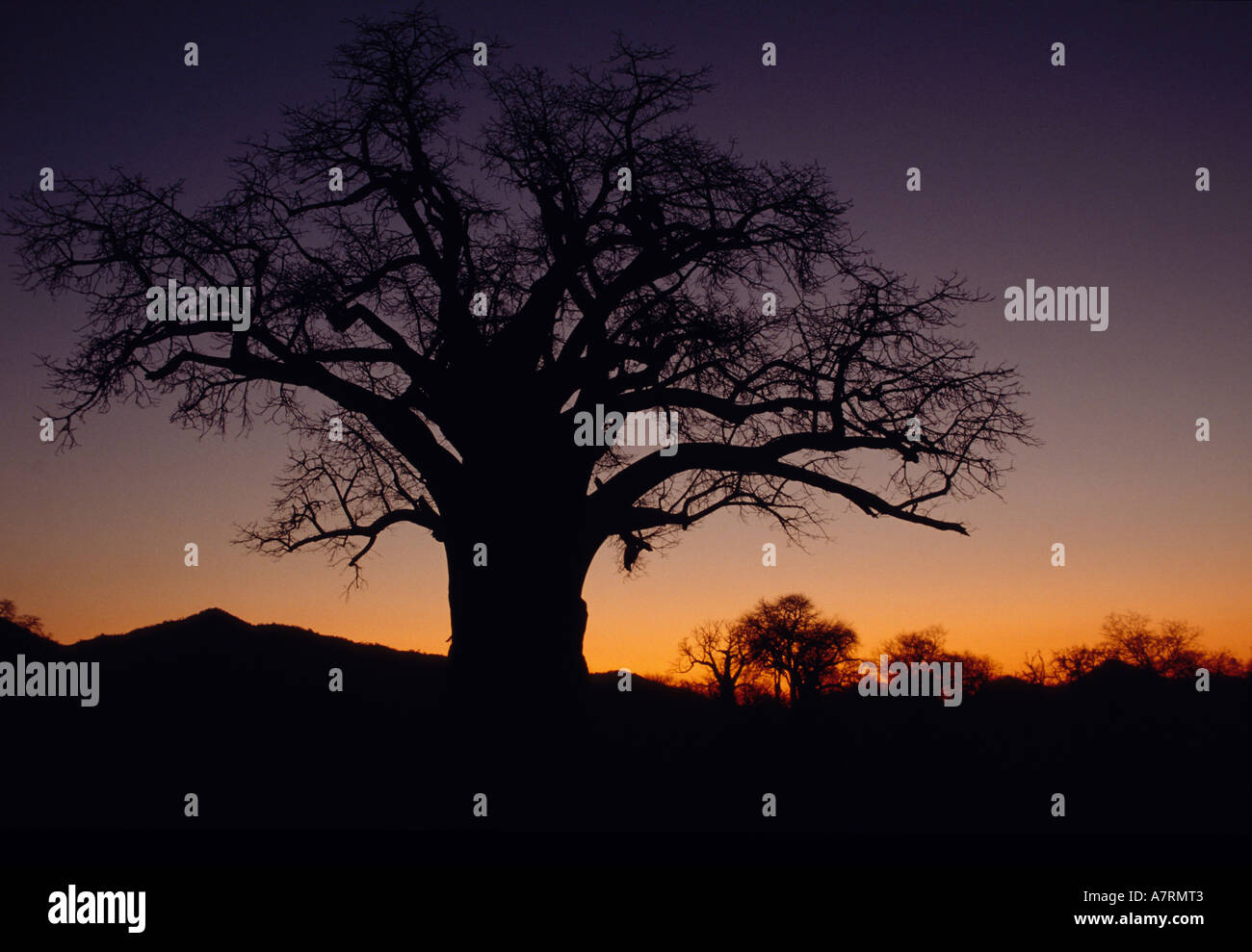 Mana pools landscape hi-res stock photography and images - Alamy