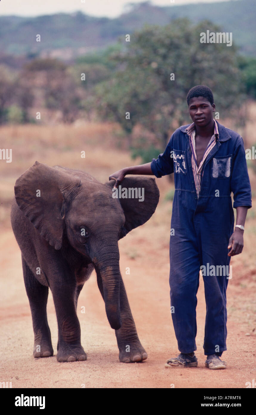 Eastern mashonaland hi-res stock photography and images - Alamy