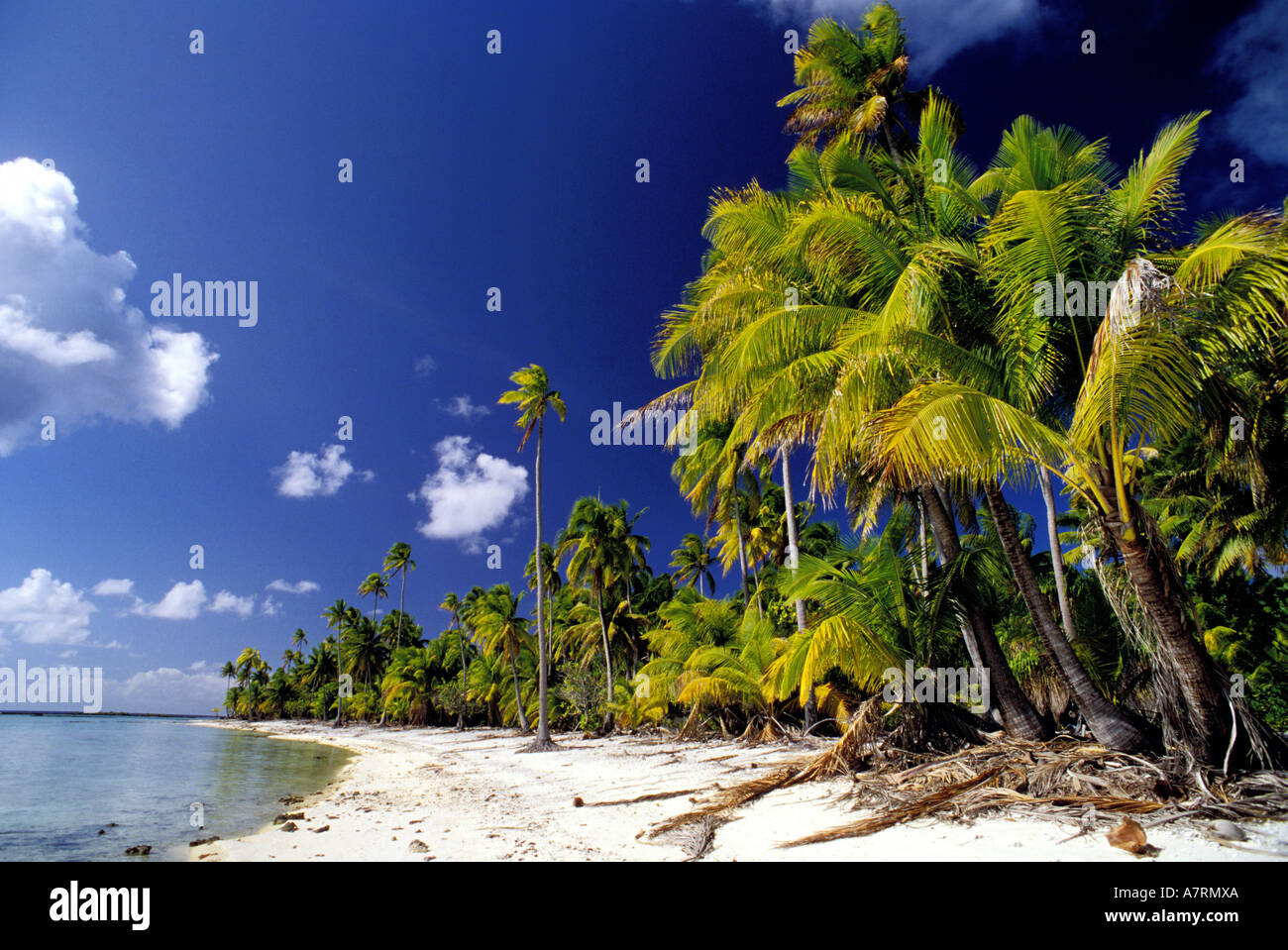 French Polynesia, Tetiaroa island, a coral sand beach Stock Photo - Alamy