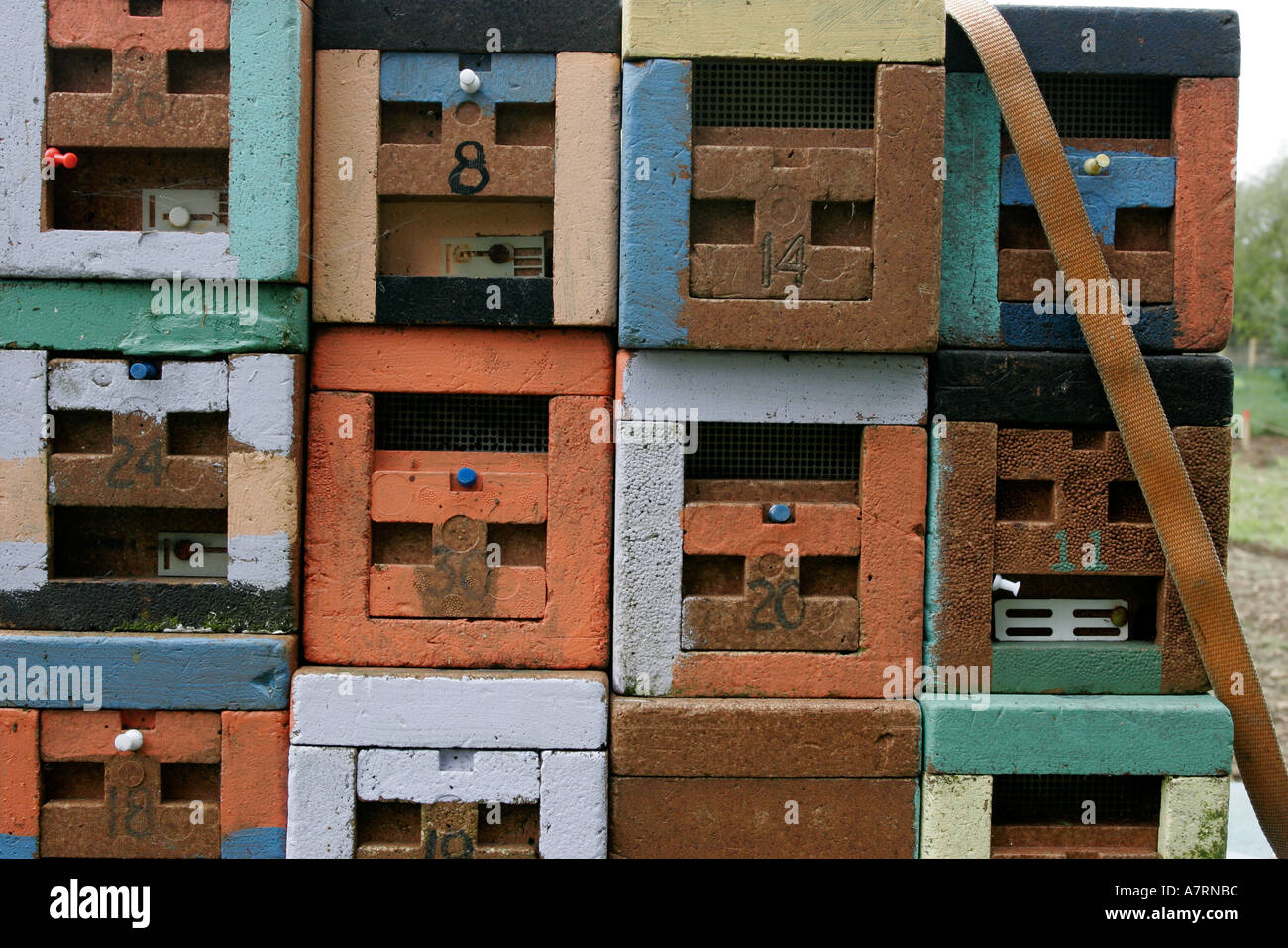 Close up bee boxes hi-res stock photography and images - Alamy