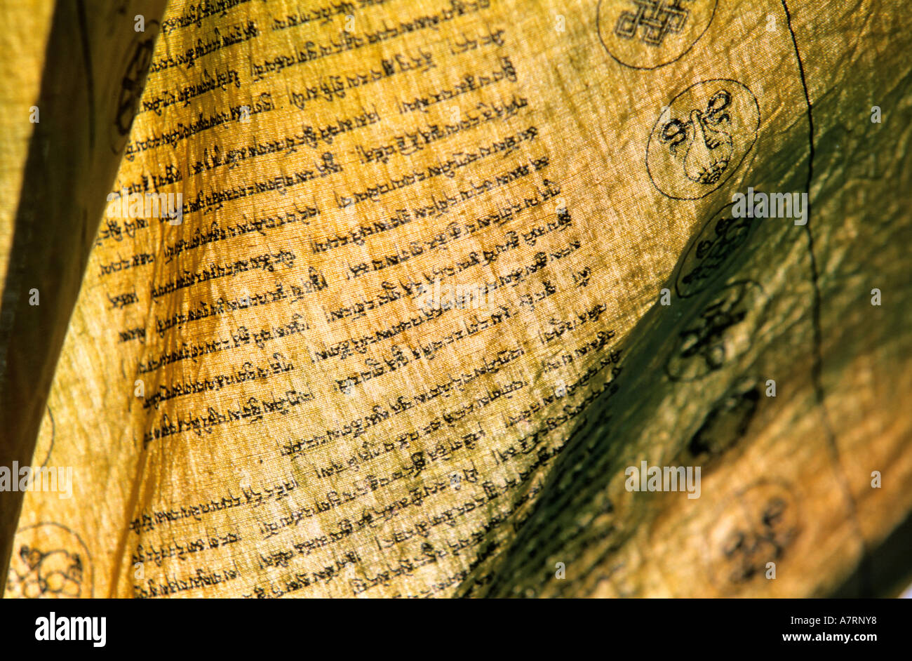 India, Tibet, flag of prayer Stock Photo - Alamy