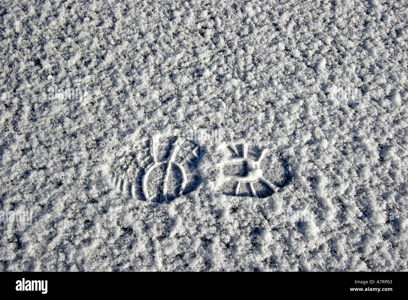 Footprint in the snow Stock Photo - Alamy
