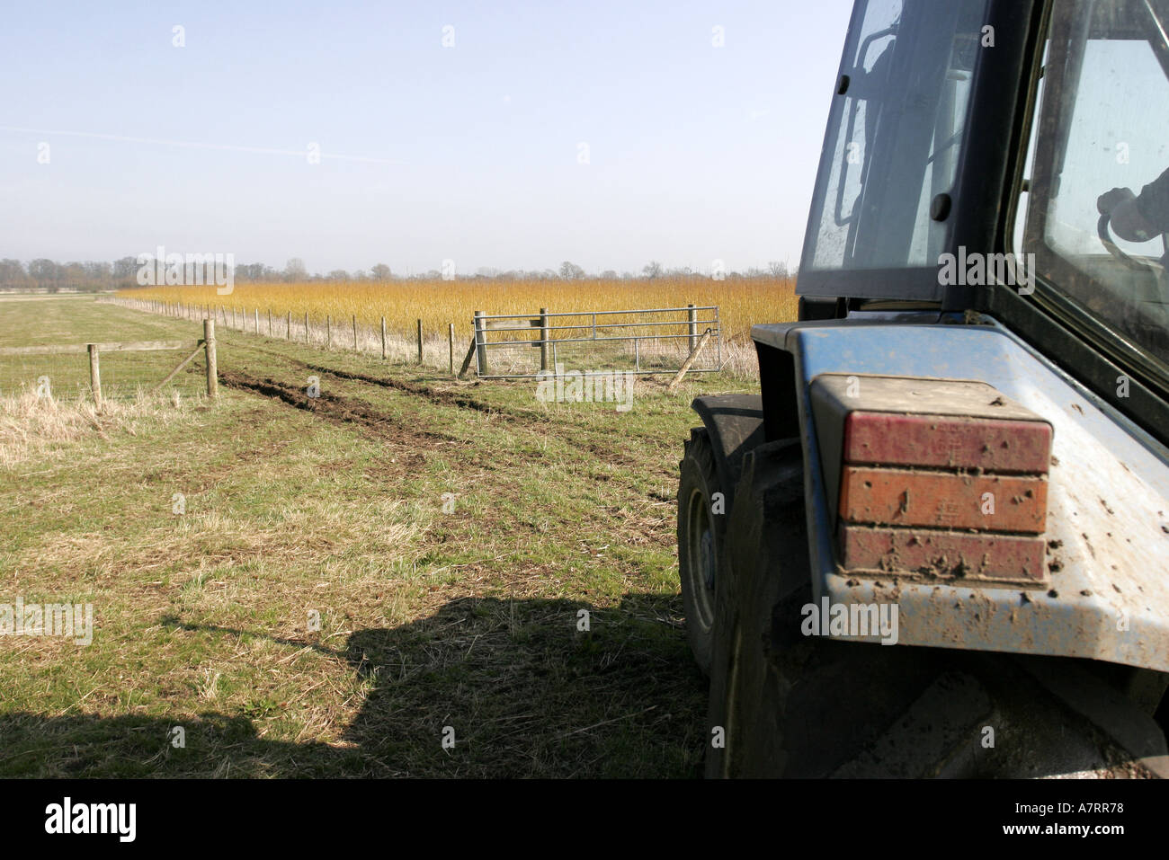 View of rear of tractor on trailer ride Stock Photo - Alamy