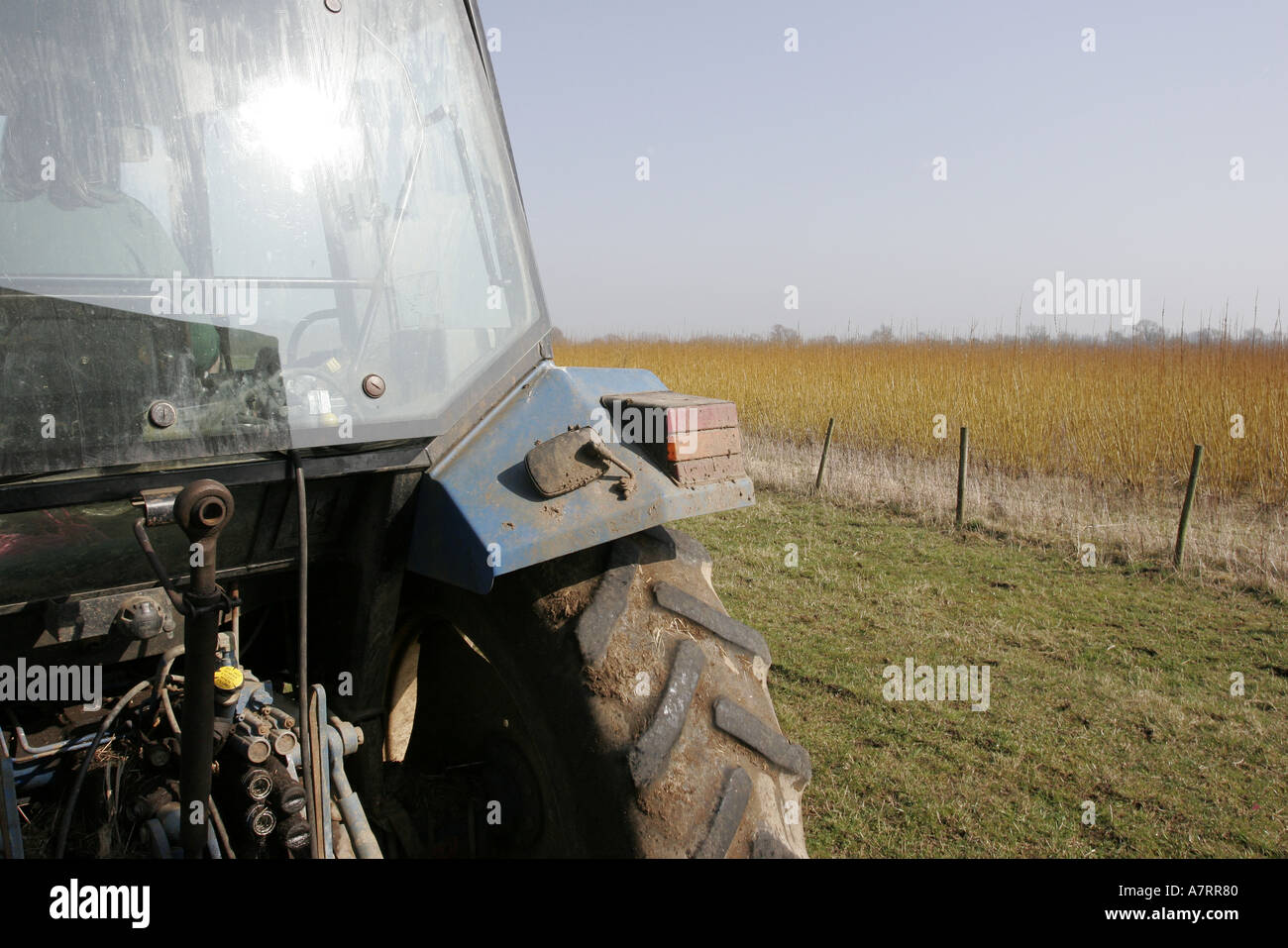 View of rear of tractor on trailer ride Stock Photo - Alamy