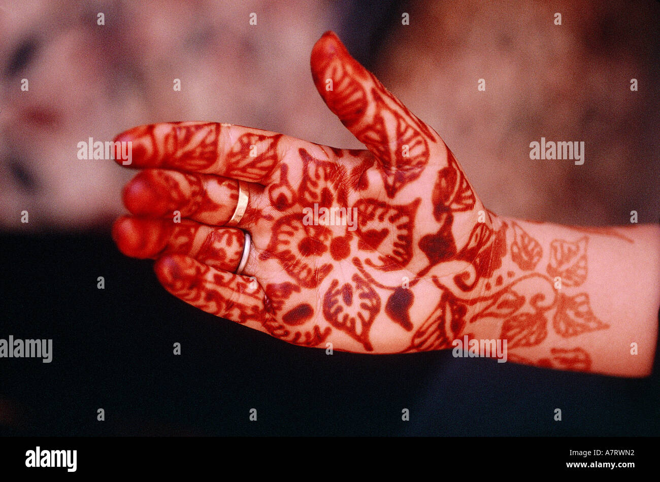 Morocco, South, around Ouarzazate, henna (Model Release OK Stock Photo ...