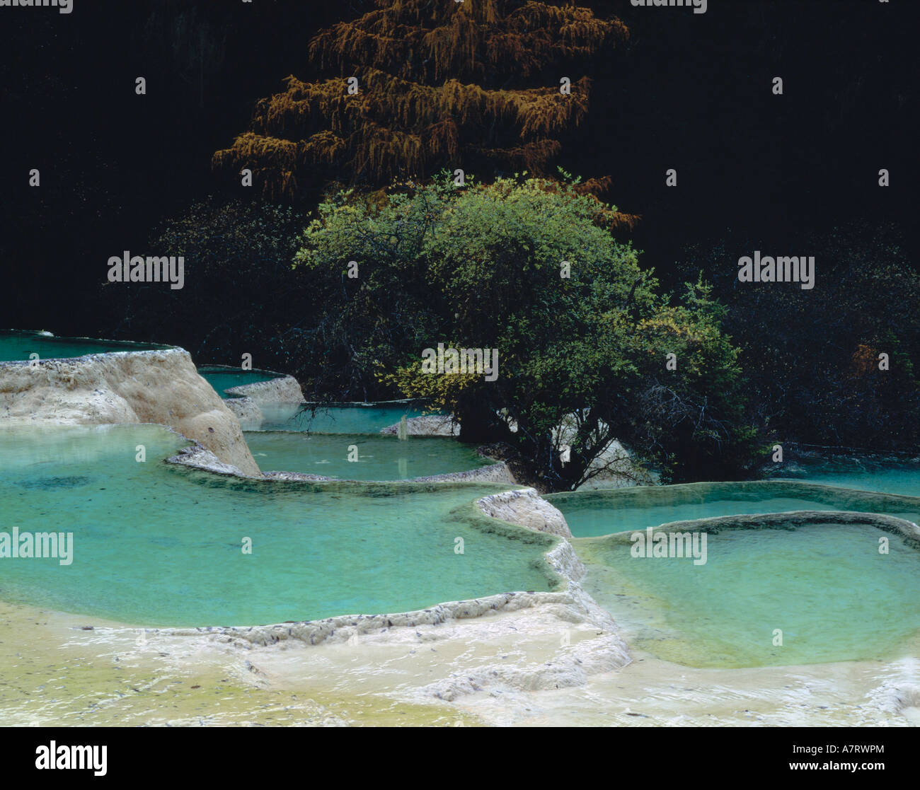 China springs hi-res stock photography and images - Alamy