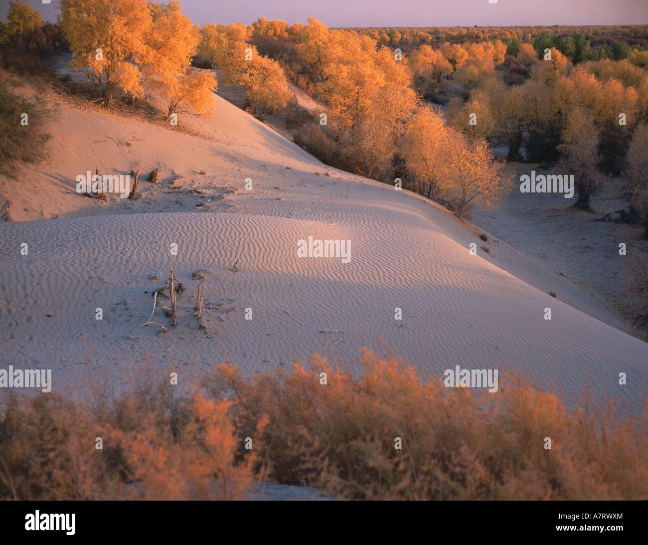 Aerial view of arid landscape, Xinjiang Province, China Stock Photo - Alamy