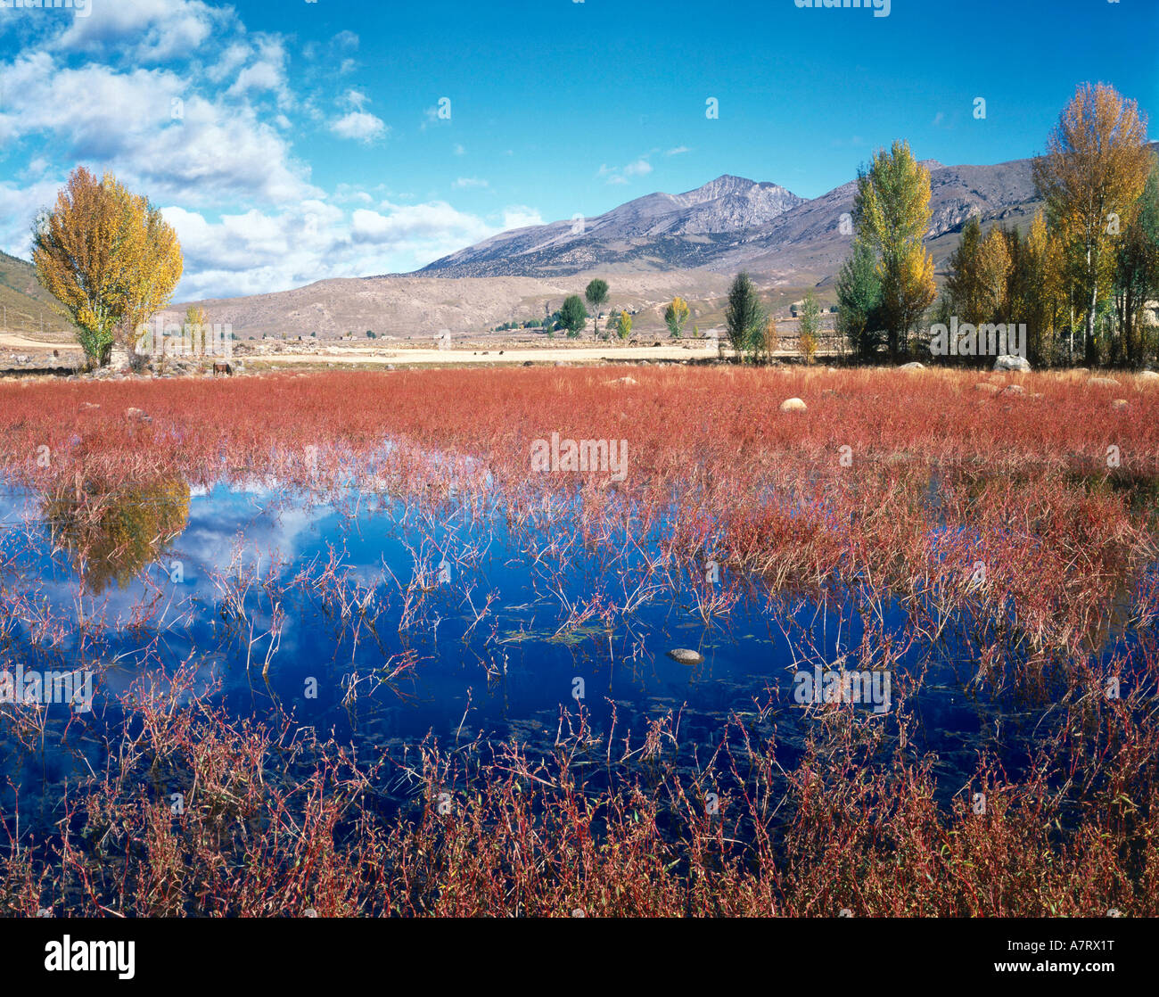 Sky reflected in marshland, China Stock Photo - Alamy