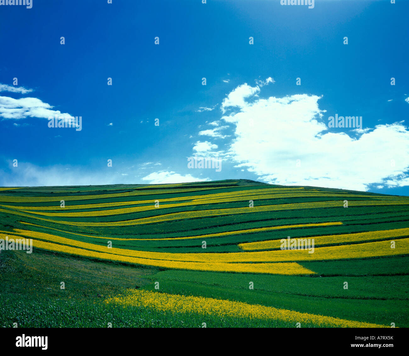 China landscape structure hi-res stock photography and images - Alamy