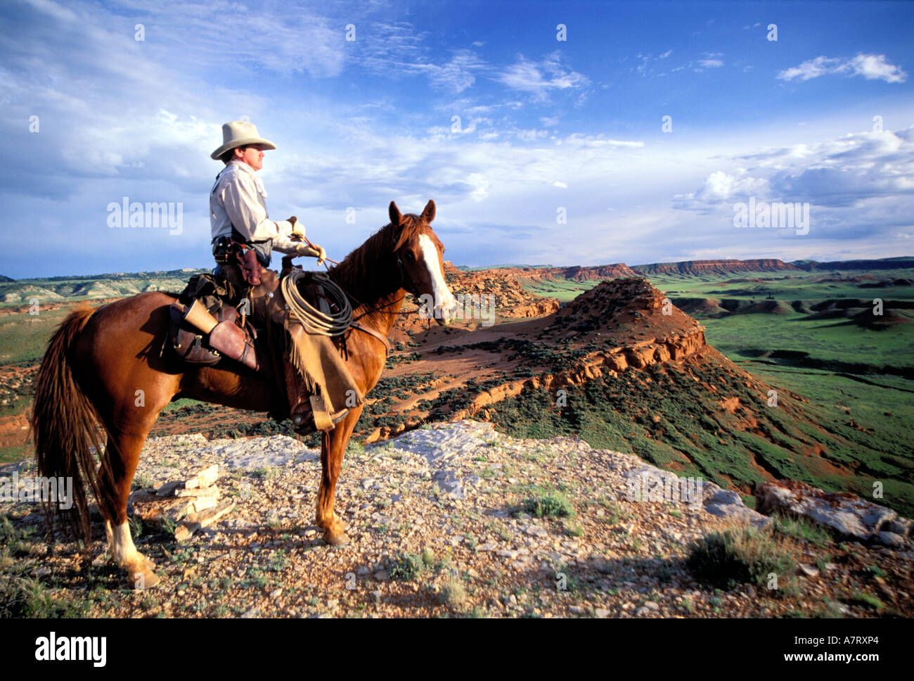Willow creek ranch hi-res stock photography and images - Alamy
