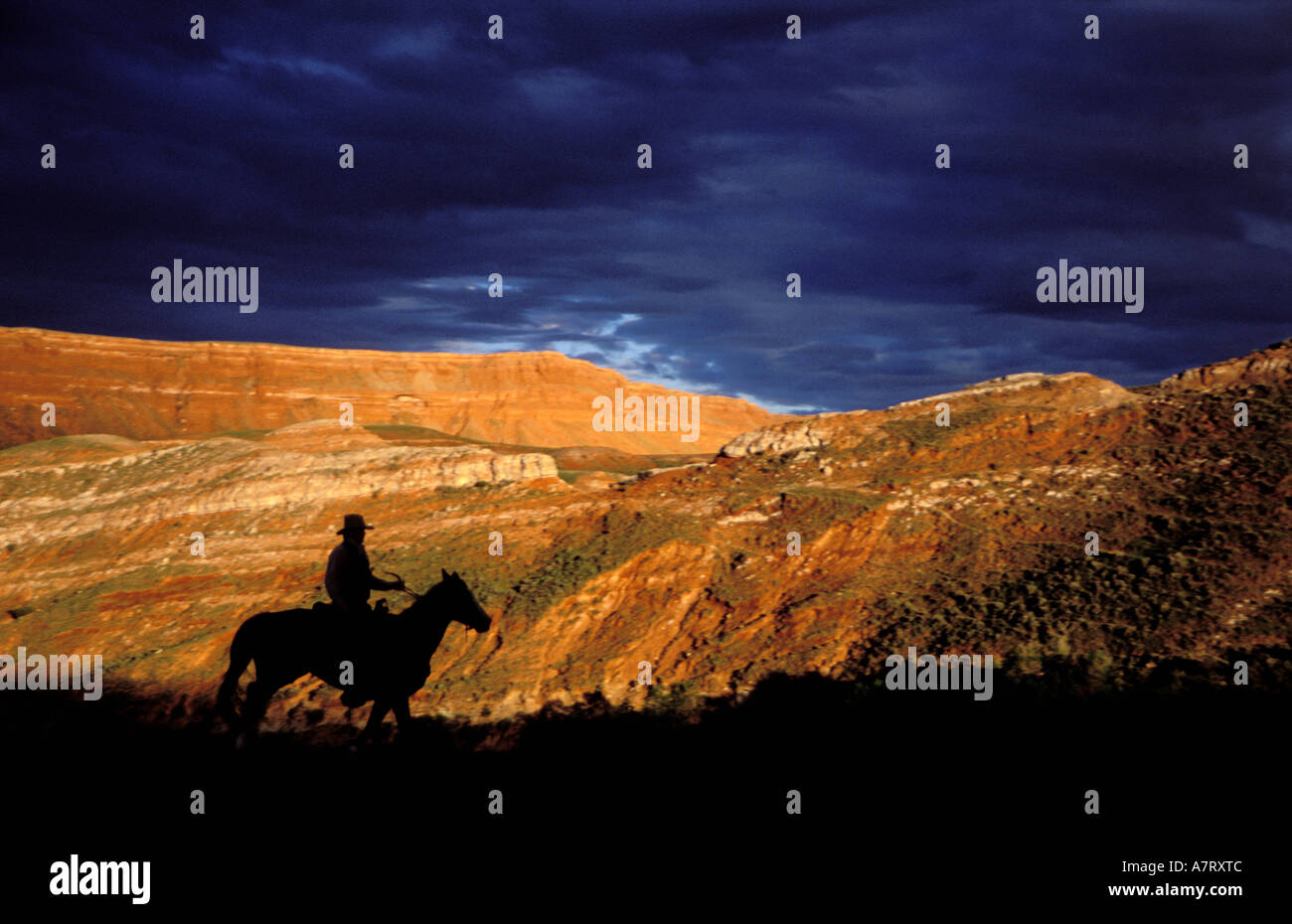 Rider united states of america hi-res stock photography and images - Alamy