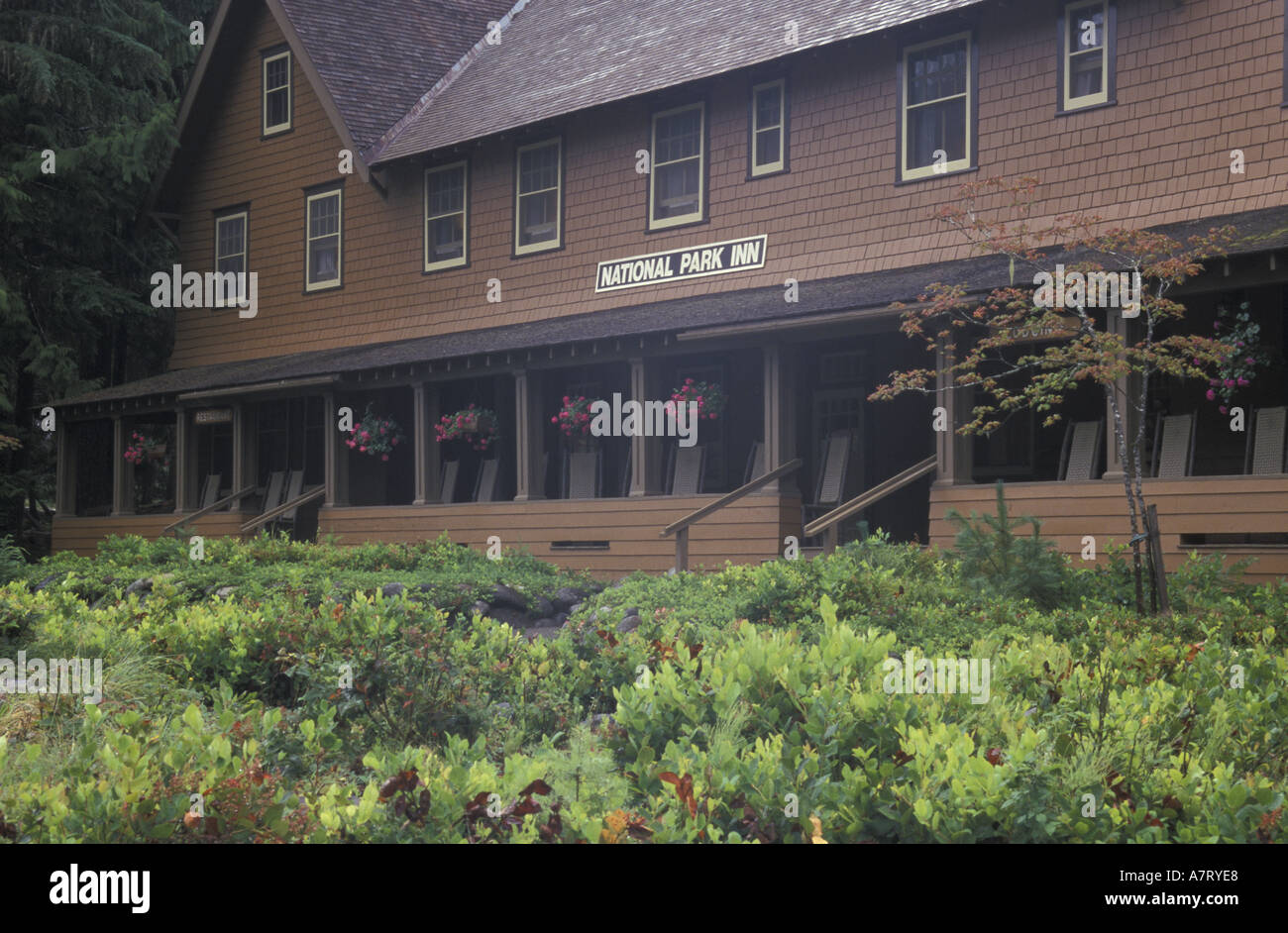 Mt rainier lodge hi-res stock photography and images - Alamy