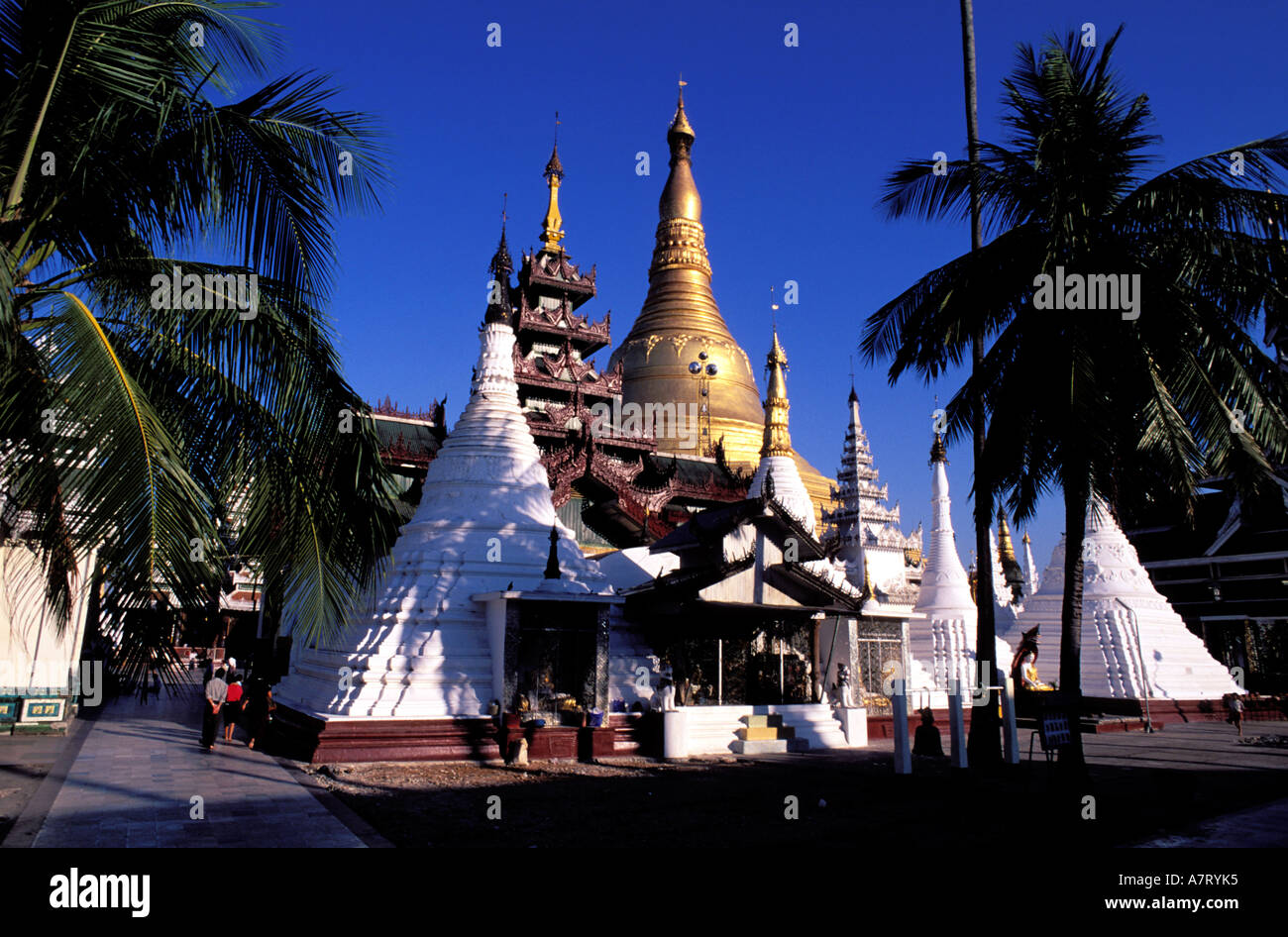 Myanmar (Burma), Yangon Division, Yangon (Rangoon), Shwedagon pagoda ...